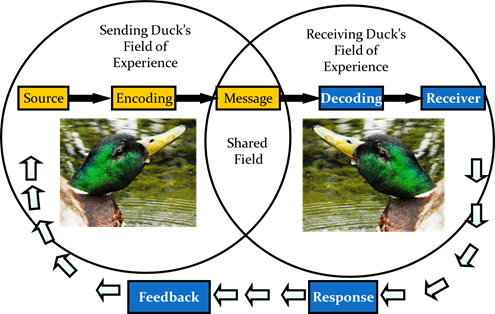 Royal Order of the Duck Rules for Effective Communication ...