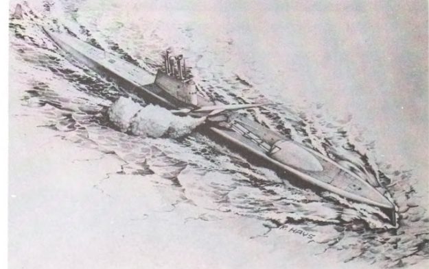 Nuclear Submersible Aircraft Carriers – USS Permit and USS Halibut ...